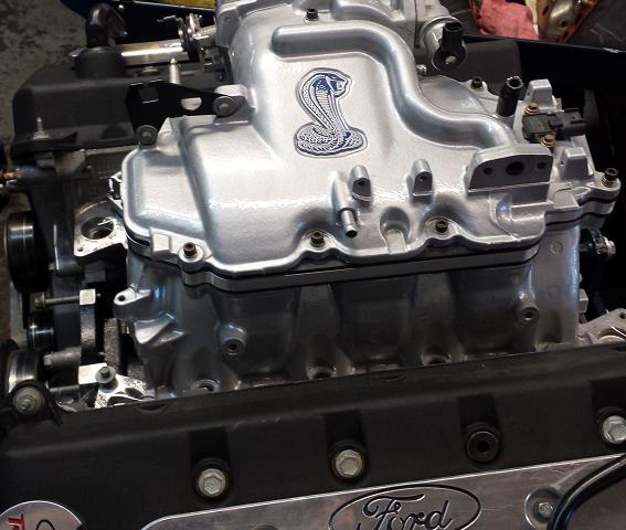 Intake Plenum Spacers for 99 / 01 Cobra & Mach One Mustang >> | Ford ...